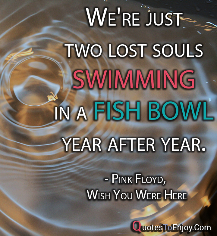 "We're just two lost souls swimming in a fish bowl year after...- Pink ...