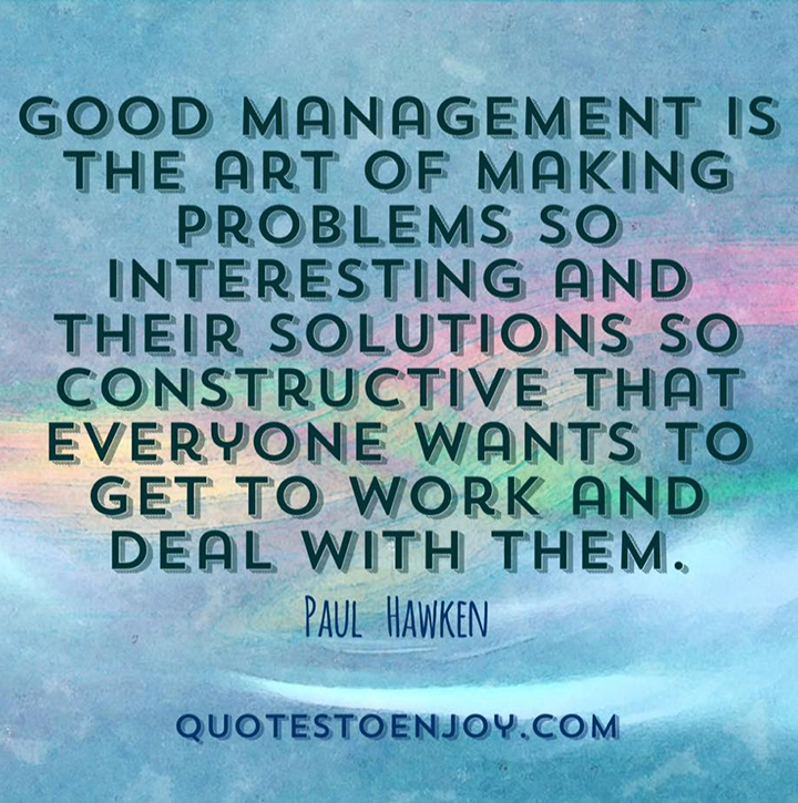 Good management is the art of making problems so ... - Paul Hawken