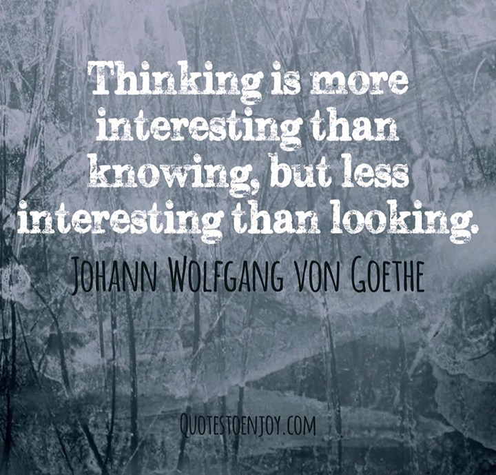 Thinking is more interesting than knowing... - Johann Wolfgang von Goethe