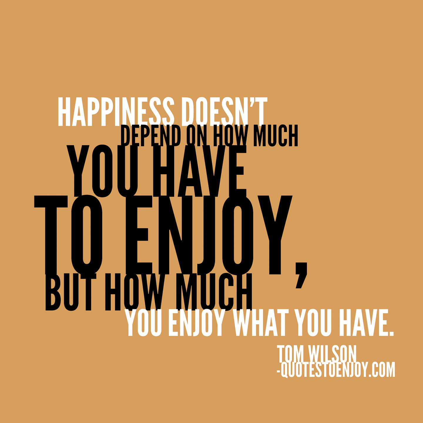 Happiness doesn't depend on how much you have to enjoy... - Tom Wilson
