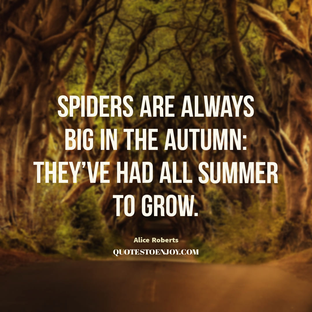 Spiders are always big in the autumn they've had all... - Alice Roberts