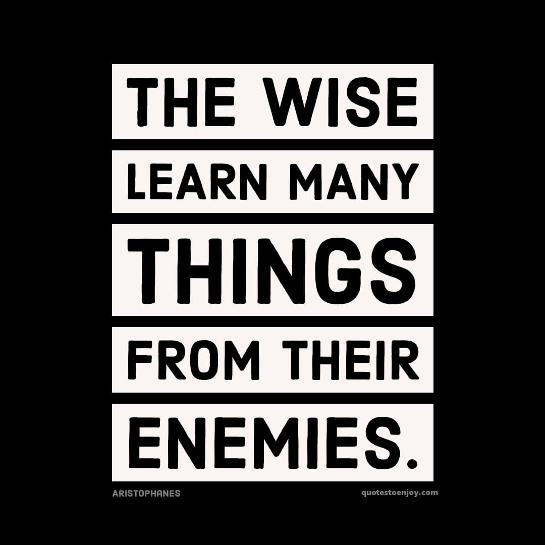 The wise learn many things from their enemies. - Aristophanes