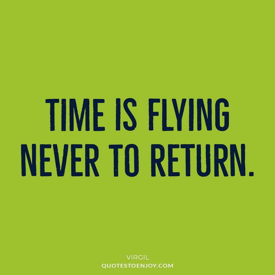 Time is flying never to return. - Virgil | Quotestoenjoy.com