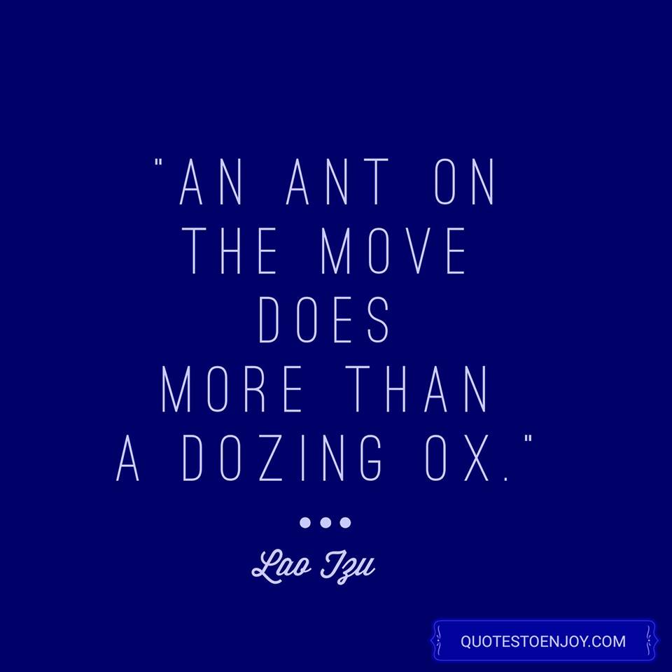 "An ant on the move does more than a dozing ox." - Lao Tzu