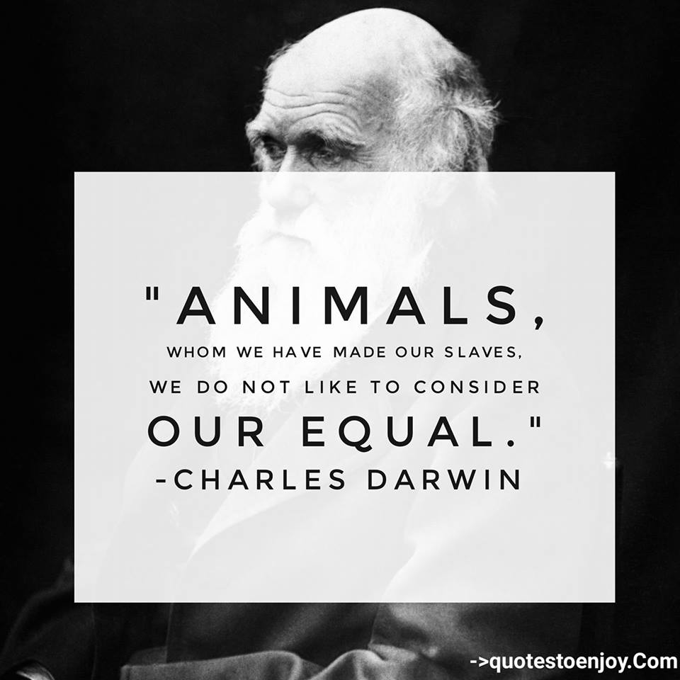 "Animals, whom we have made our slaves, we do not..." - Charles Darwin