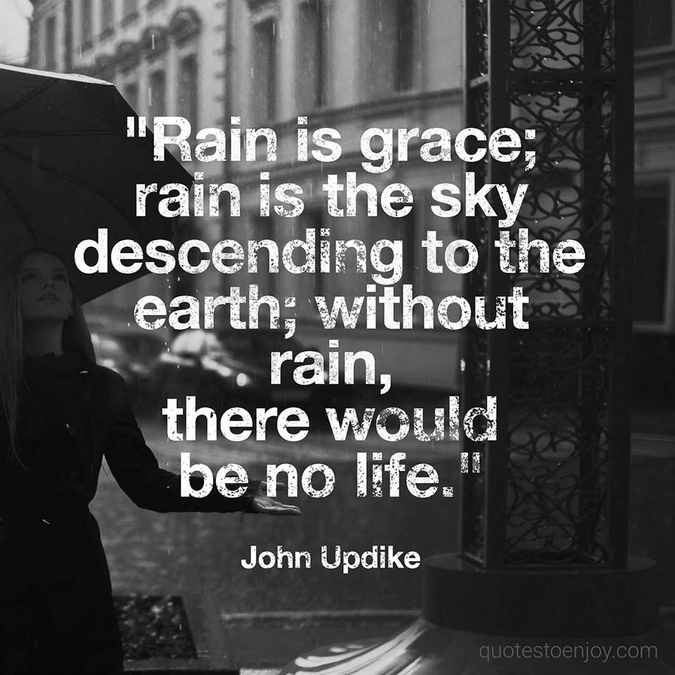 Rain is grace; rain is the sky descending to the earth... - John Updike